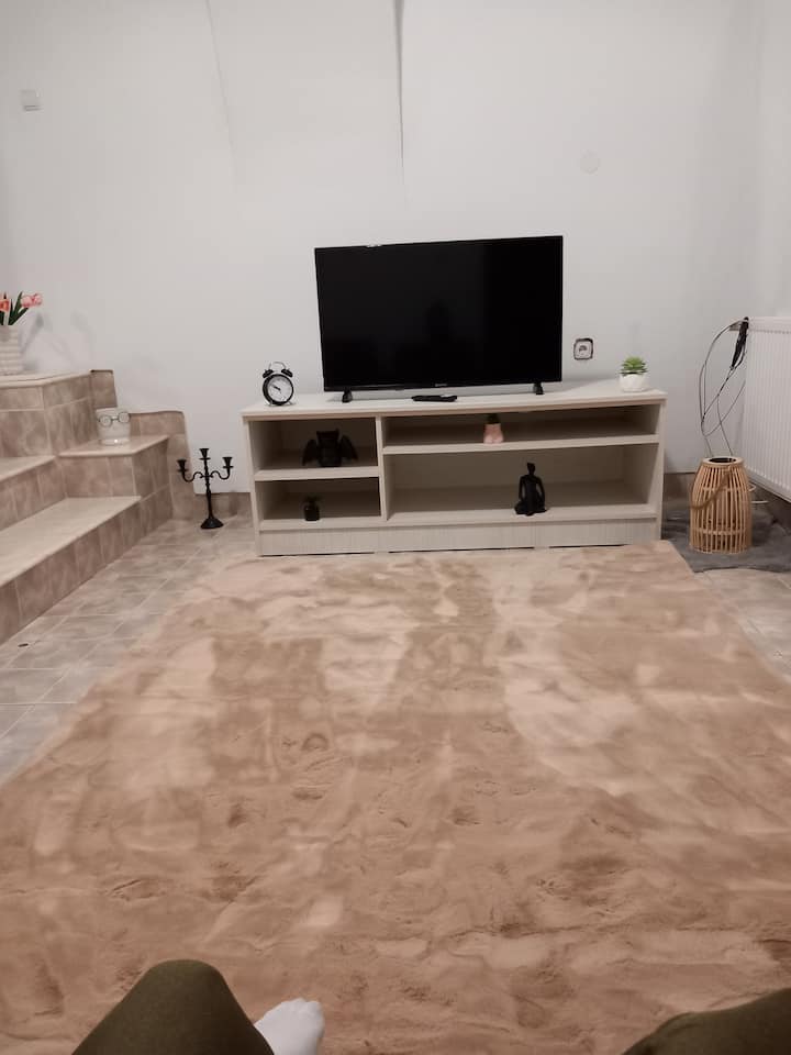 Evelineapartament Satu Mare 1234 - Satu Mare