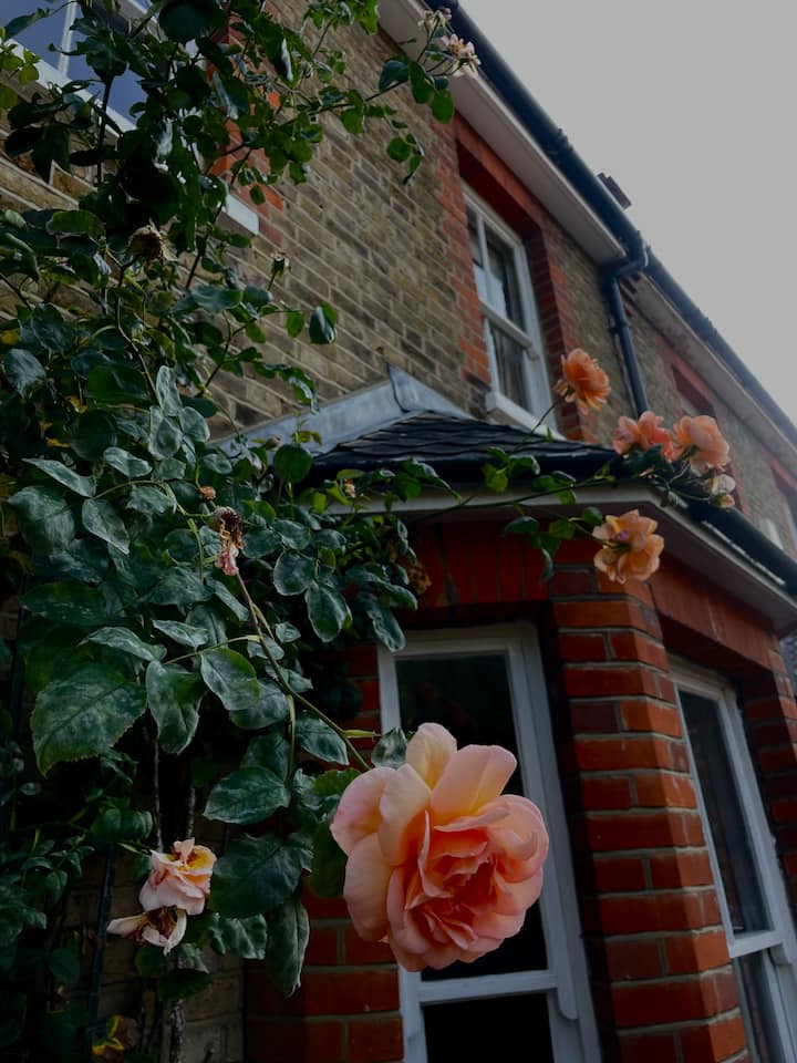 Cosy Surbiton Cottage - Surbiton