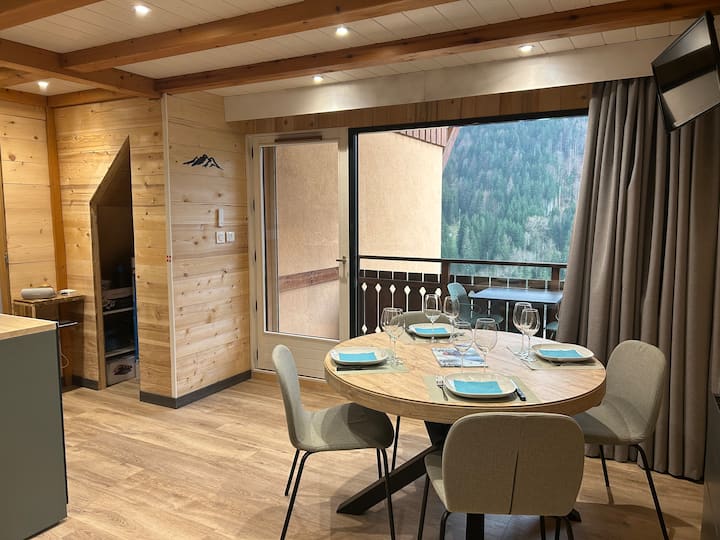 Bel Appartement De 50m2, 4/6 Pers, Vue Superbe - Hirmentaz