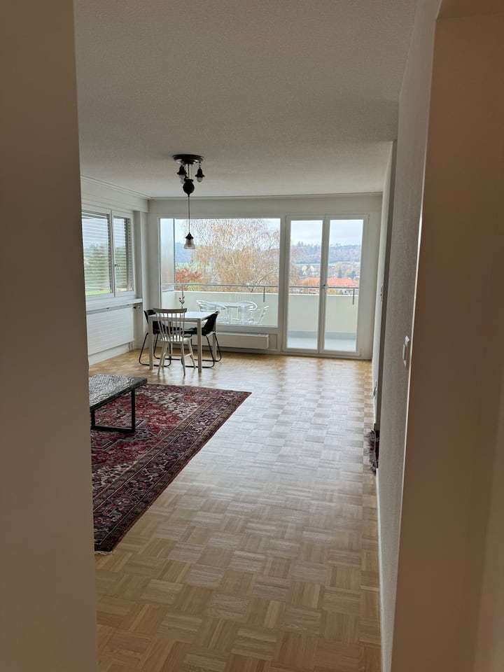 Spacious, Modern Flat In Bern - Berna
