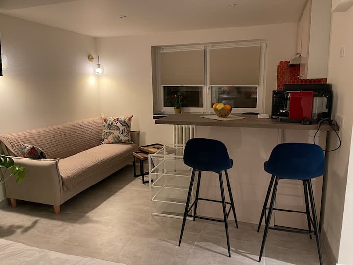 Chambre Strasbourg - 