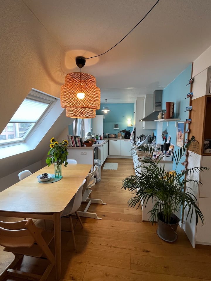 Appartement F4 + Parking - Schiltigheim