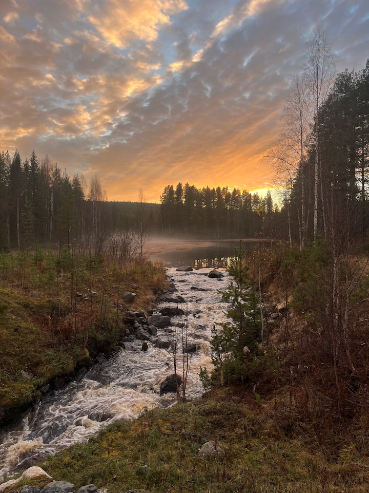 Kriberg Wild Lappland - Malå