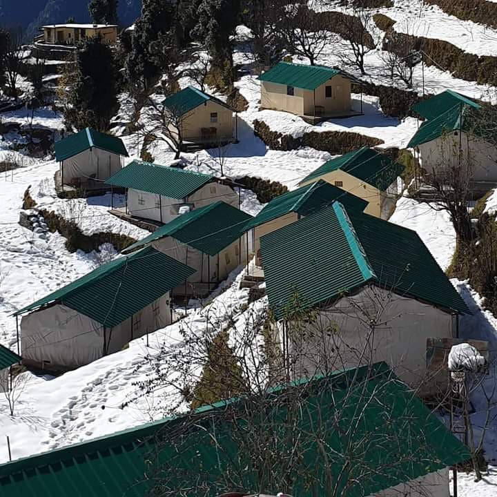 Enjoy Free Life In Kanatal. - Kanatal