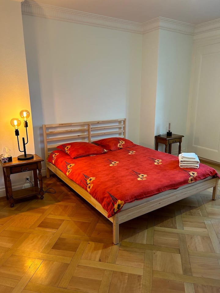 Shared Apartment In Planpalais - Lake Geneva