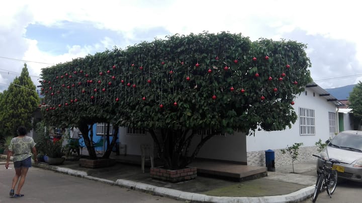 Casa De Las Ardillas - Casanare
