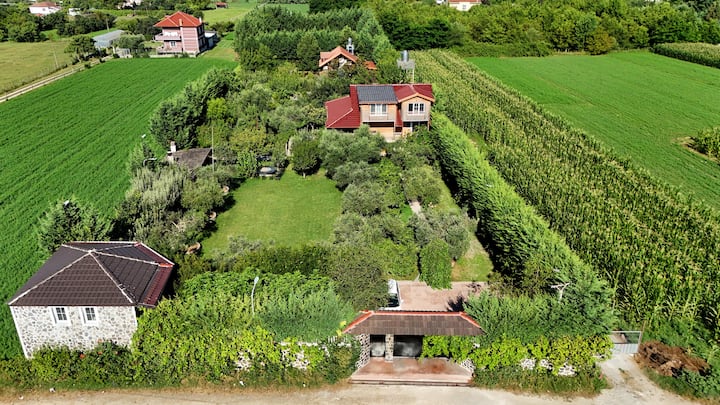 Eila's Farm - Albanie