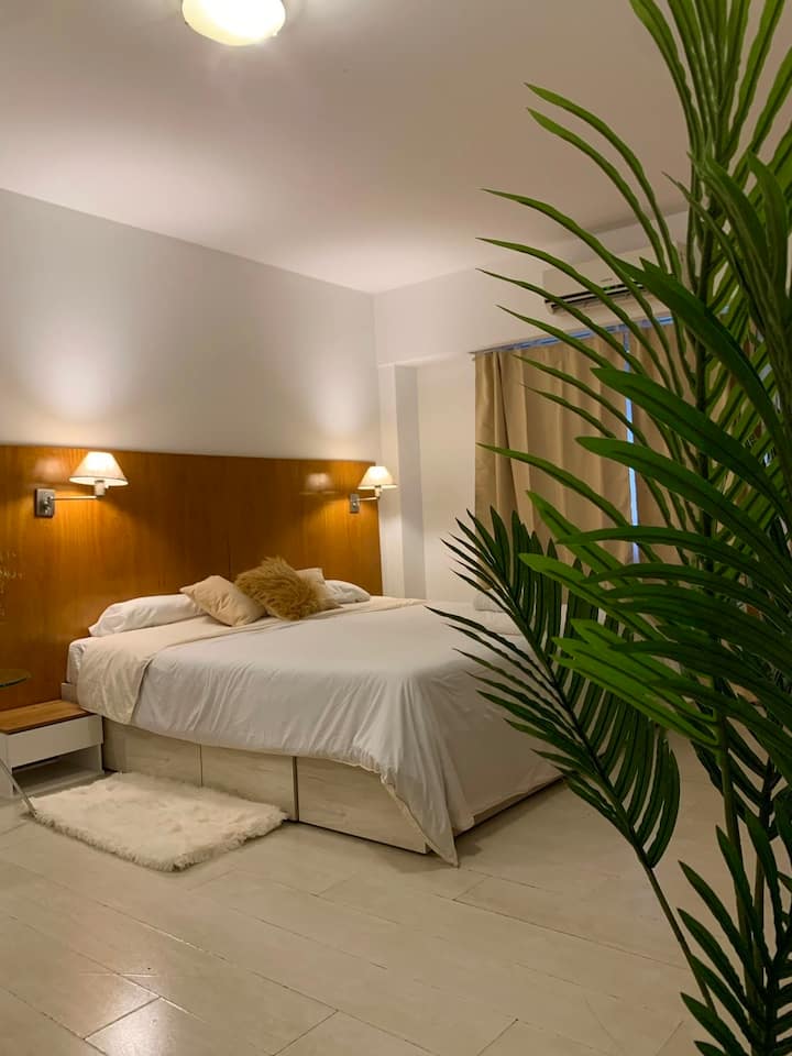 Depto Céntrico Buenos Aires (Cerca Del Obelisco) - Buenos Aires