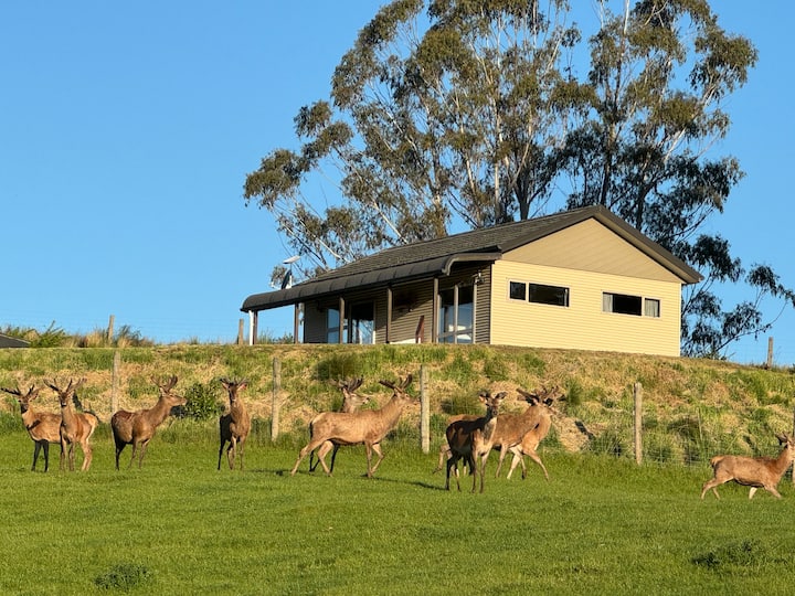 Wapiti Ridge Cottage - Fiordland