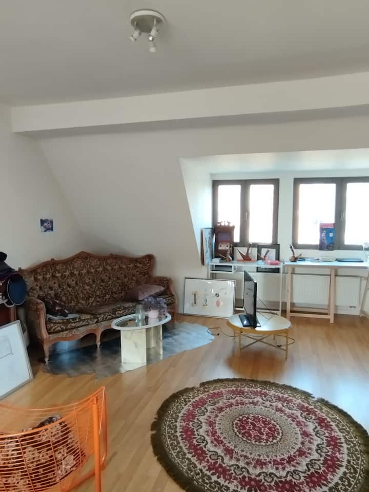 Bel Appart Duplex Sous Les Toits - Schaerbeek