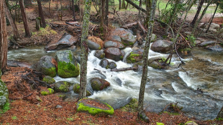 Charming House Near Yosemite With A Creek - California