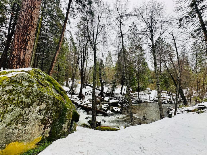 Charming House With Creek 12 Miles To Yosemite Se - Fish Camp, CA