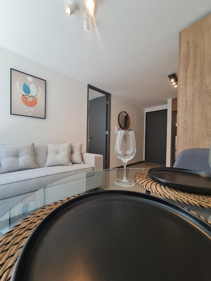 Céntrico Departamento En La Mejor Zona De Santiago - Santiago