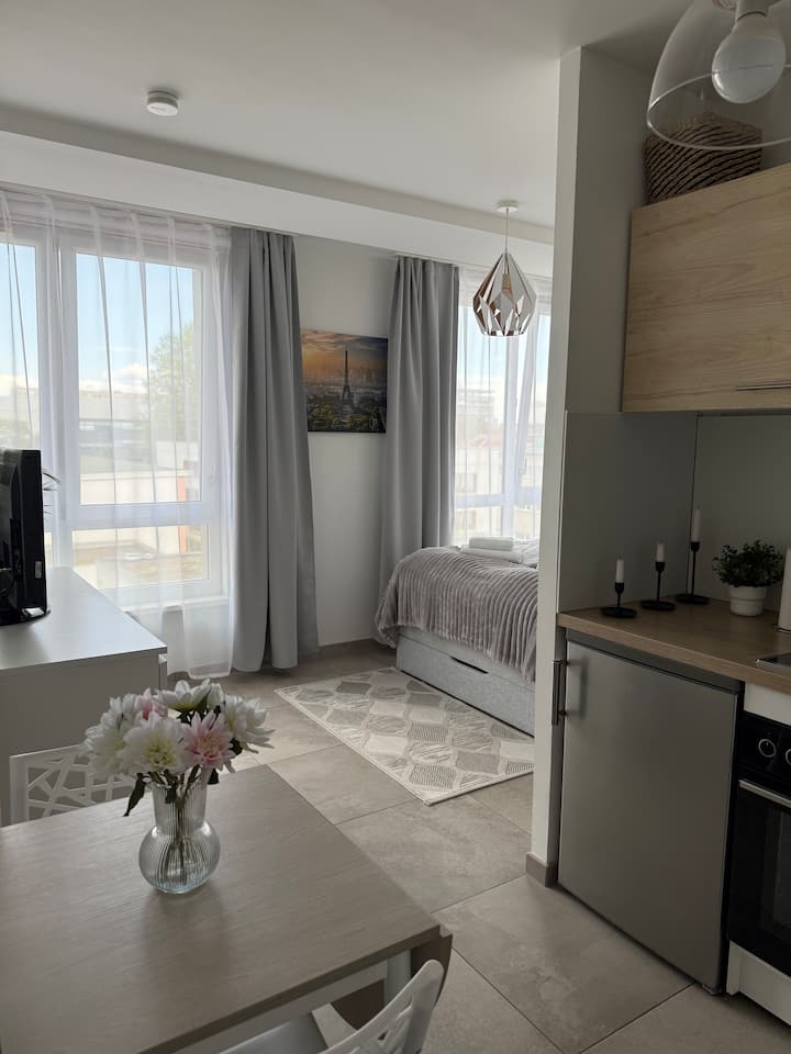 Petit Studio Cosy Près Du Centre - Strassburg