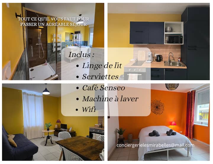 Appart T2 Coloré - Volstroff