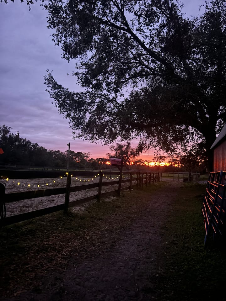 "The Industrial" Man Cave W/ Barnyard Friends - Myakka River State Park, Sarasota
