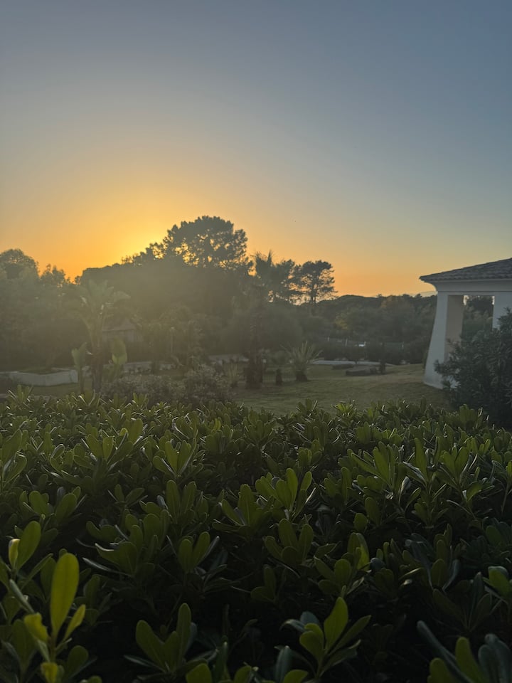 Appartement T3 Duplex - Porticcio