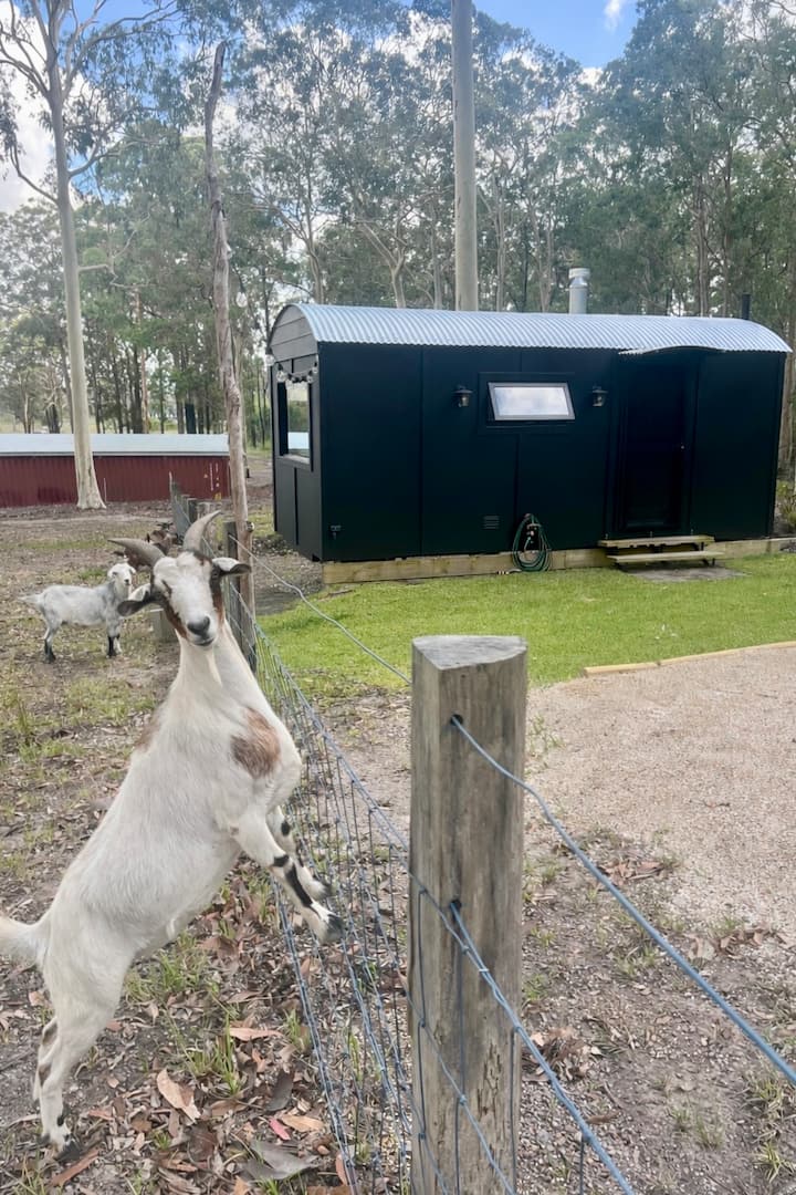 Charming Shepherd's Hut For Two At Blackwood Farm - Taree