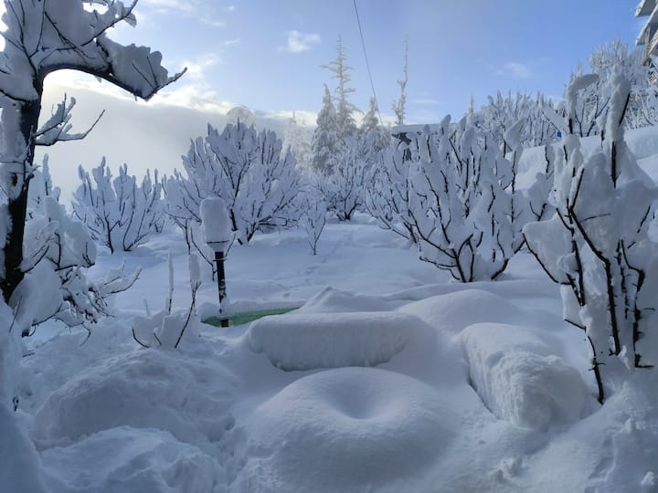 Aanagha - A Himalayan Retreat - Manali