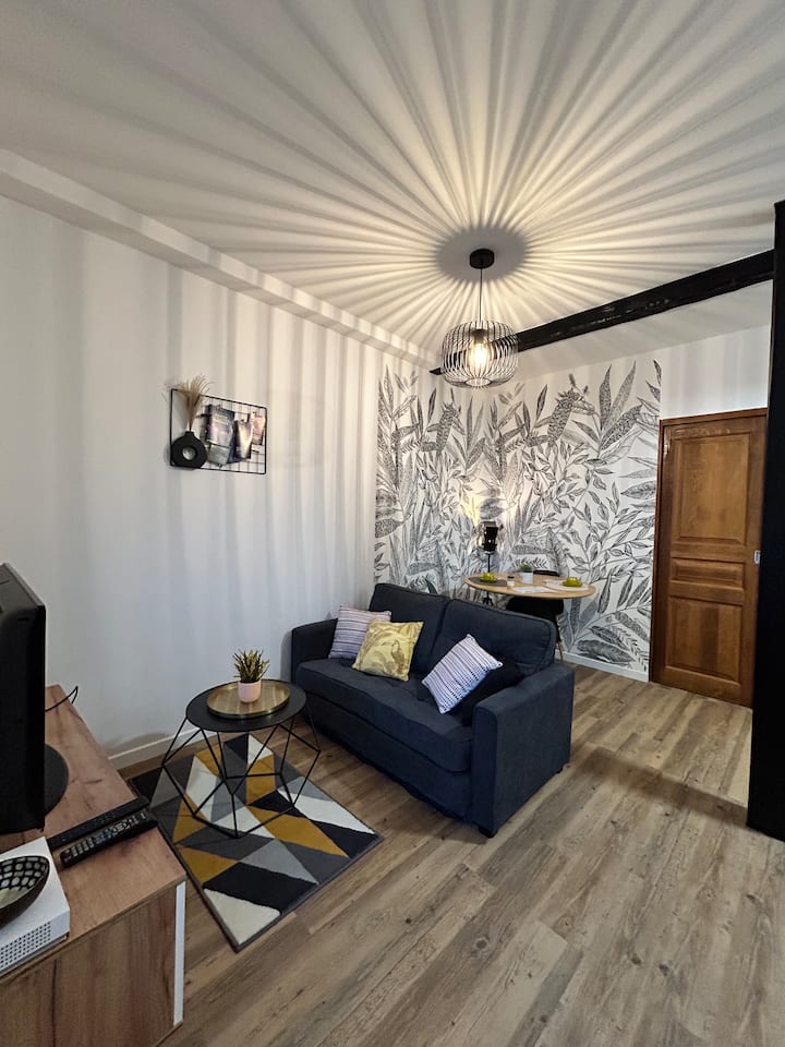 Charmant T1 Bis Tout Confort à Dijon - Longvic