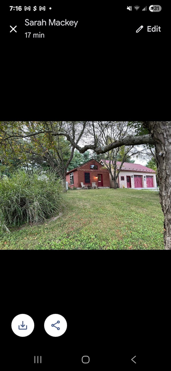 Sunday Wyld Happy Place - Michaux State Forest, Shippensburg