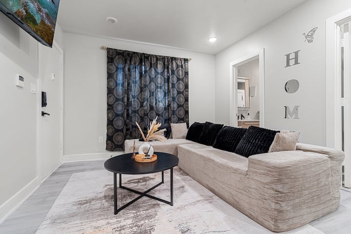 Chic King Apt/near Dt/wi-fi+ldry - Dallas, TX