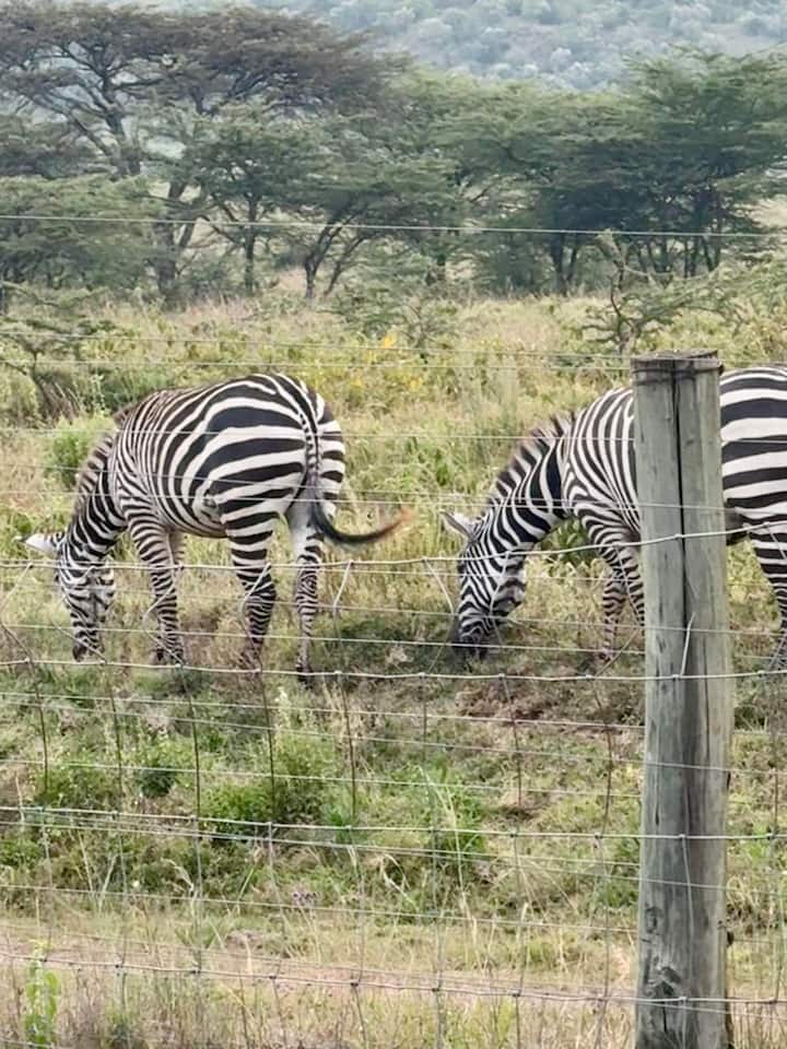 Faru House - Lake Nakuru National Park - Kenya