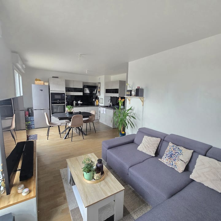 Duplex Moderne Et Lumineux Avec Terrasse - Le Plessis-Robinson