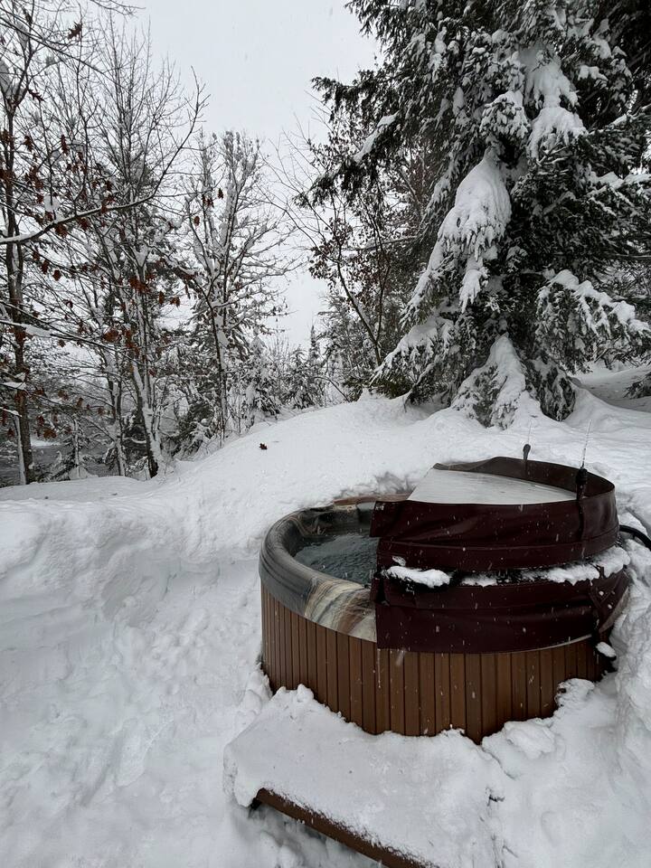 Cozy Cottage | Hot Tub | Fireplace - Dystrykt Muskoka