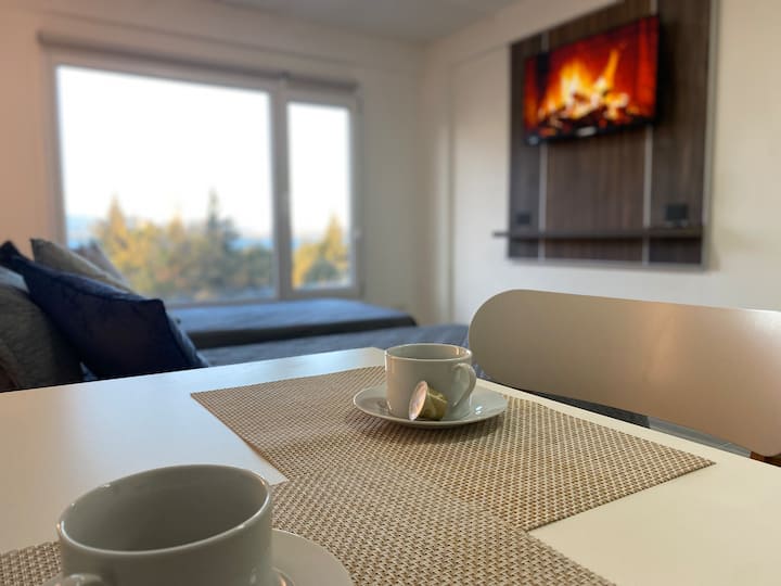 Depto. Céntrico C/vista Al Lago - Neuquén