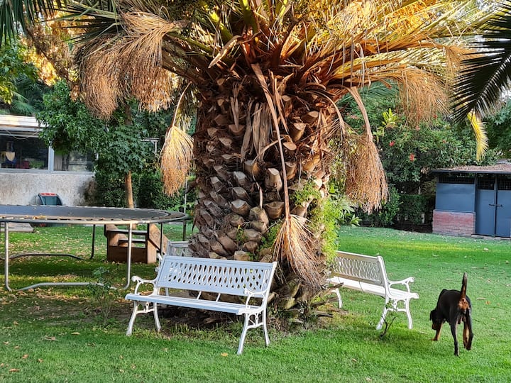 Naturaleza Y Privacidad - Colina