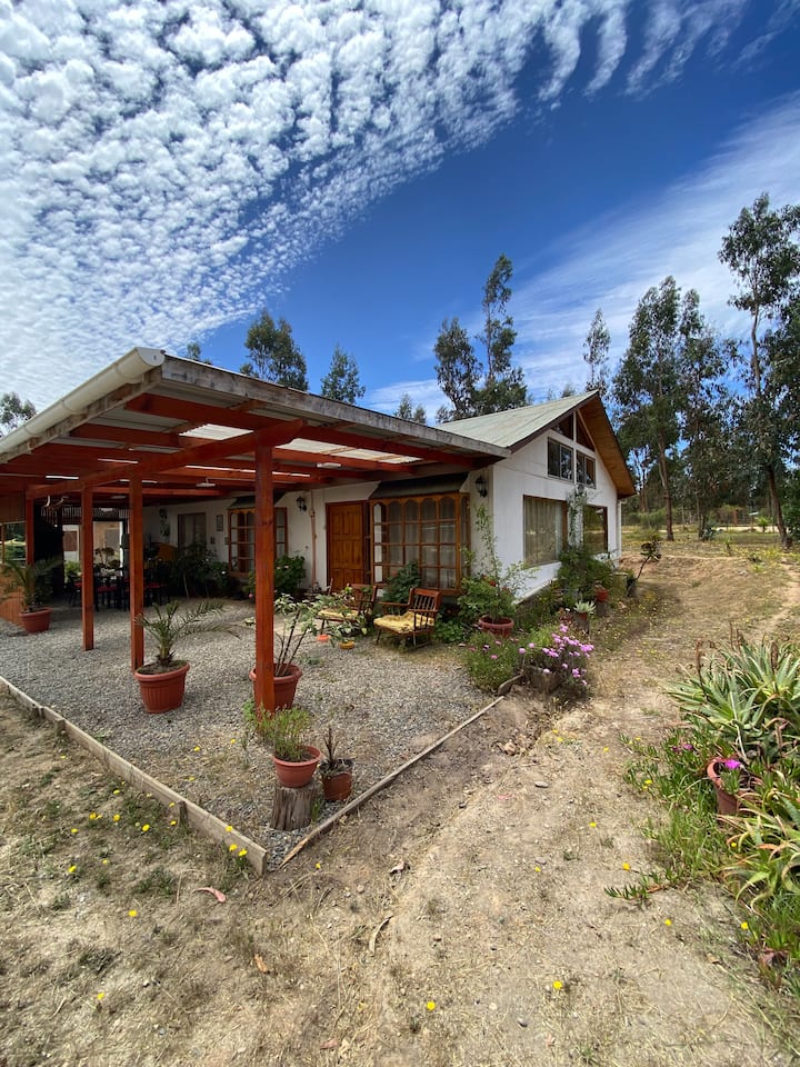 Cabaña Con Piscina En Foresta De Zapallar - La Ligua