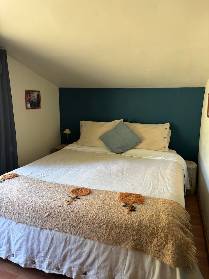 Casa Del Río/delfín Austral - Coyhaique