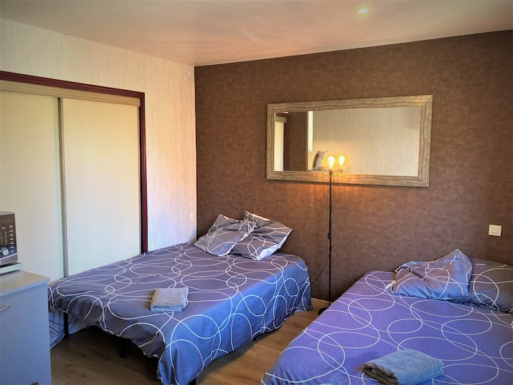 Appartement Double Dans Le Centre - Limoges