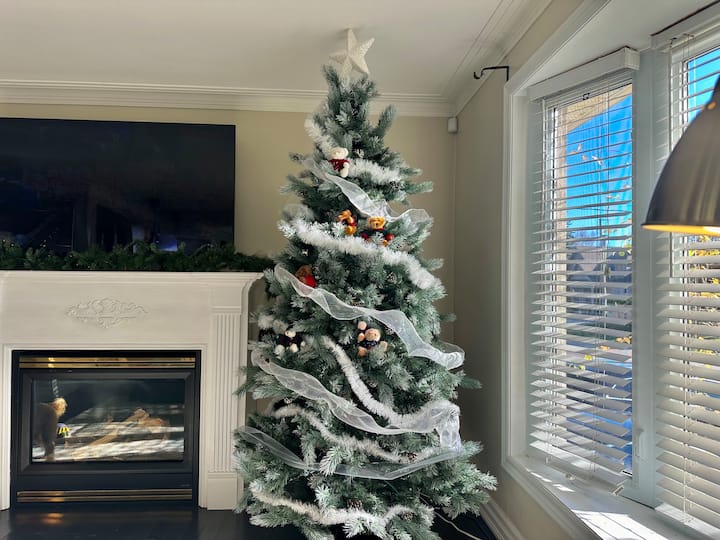 Beautiful Family House Near The Lake & Shoppings - Oakville