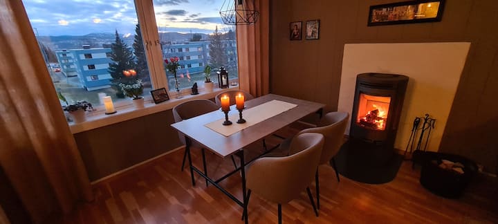 Romslig Leilighet Med 2 Soverom. - Trondheim