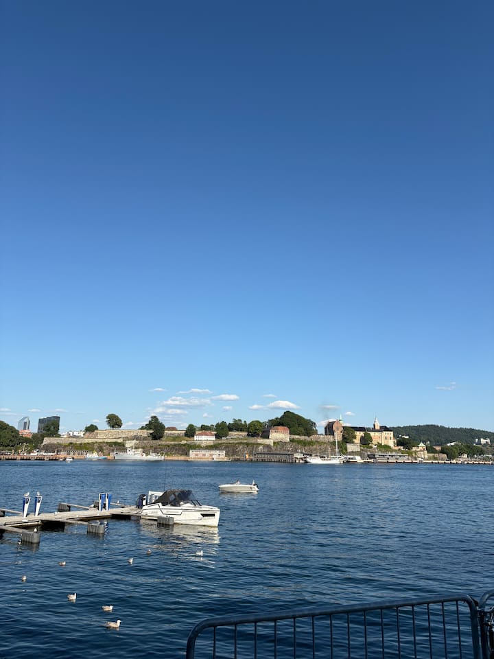 Experience Oslo By Foot - 奧斯陸