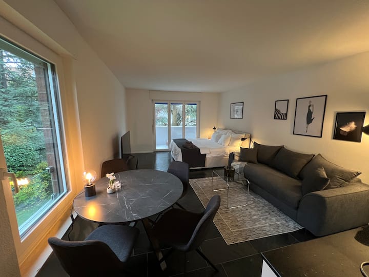 Neues Studio Mit Balkon Und Seeblick 255c/16 - 蘇黎世