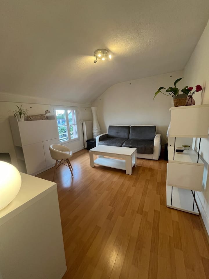 Appartement F2 à 2 Min Des Gares Rer A Et Sncf. - Conflans-Sainte-Honorine
