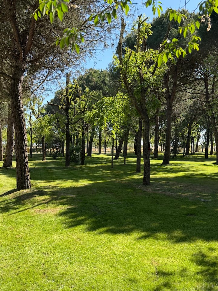Peaceful Italian Mobile Home Close To Sea & Beach - Cavallino-Treporti