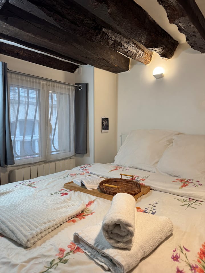 En Plein Cœur De Paris - Paris 6e Arrondissement