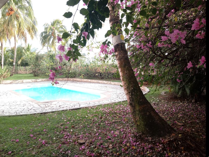 Charmant Logement Avec Piscine - Martinique