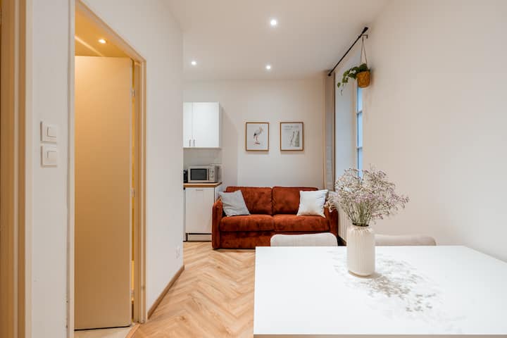 2 Pièces Rénové 10 Min à Pied De L'hypercentre - Strasbourg