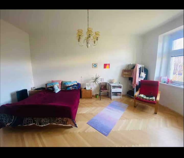 Peaceful & Cosy Apartment In Wonderful Prague - Prague