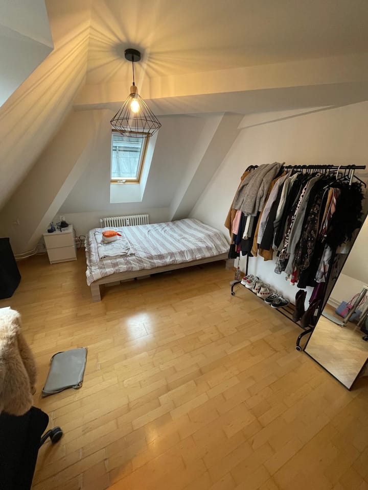 Cozy Room In Zurich! - Zurich, Switzerland