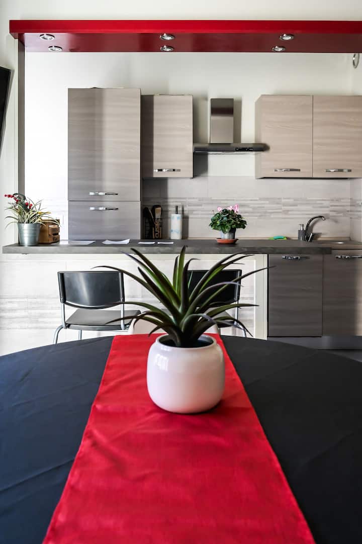 La Casa Del Koala - Coni