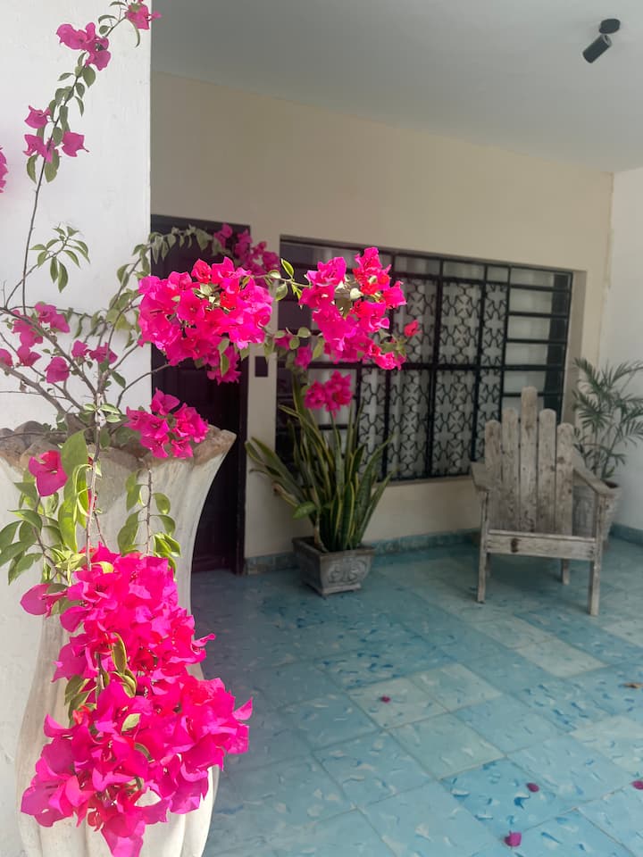 Authentic Downtown Neighborhood, Local Experience - Valladolid
