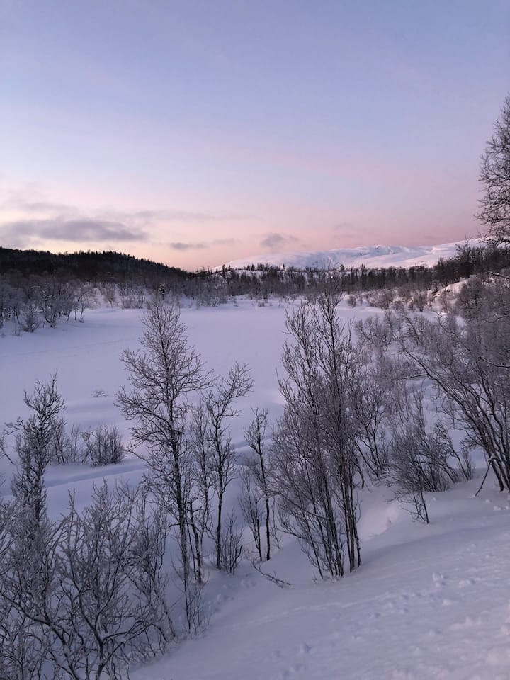 Koselig Leilighet Nært Naturen - Tromsø