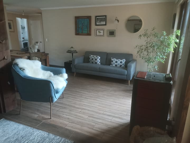 Casa Soñada Para 4-6 Personas En Entorno Natural - Temuco