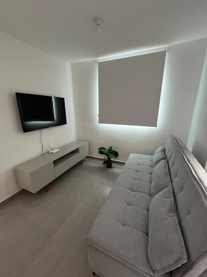Apt 650 Metros Da Estação Vila Matilde - São Mateus